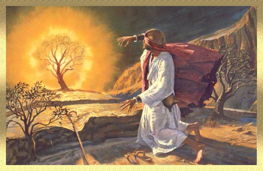 Shout To The Lord~The Glory of God